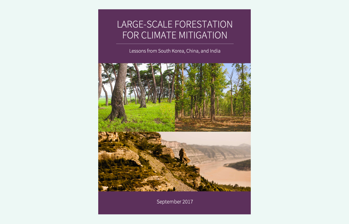 Understanding GHG Fluxes from Forests & Land Use - CLUA